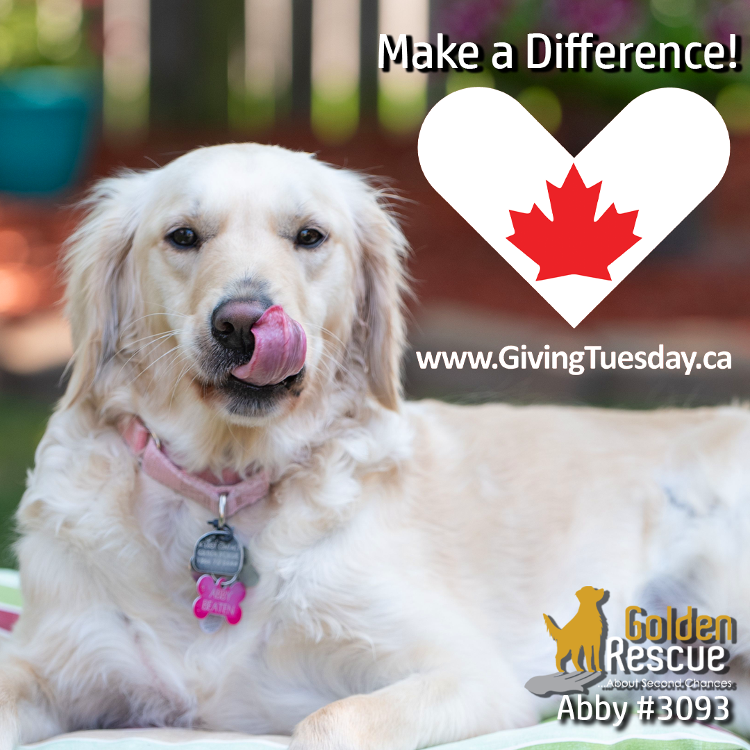 Golden Rescue™ logo